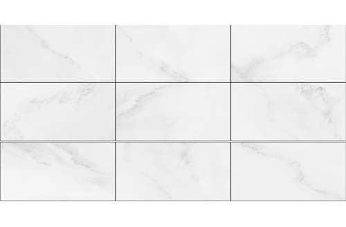 ELEMENT CERAMICS | WT3601