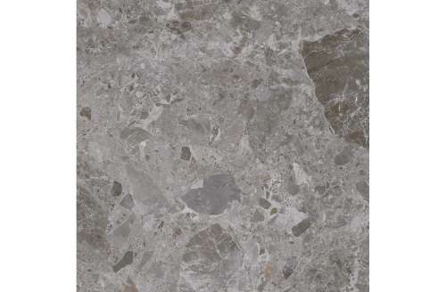 NINETY PLUS | ROBUSTA