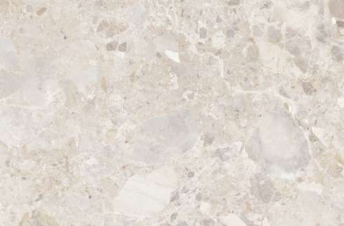 NINETY PLUS | ROBUSTA