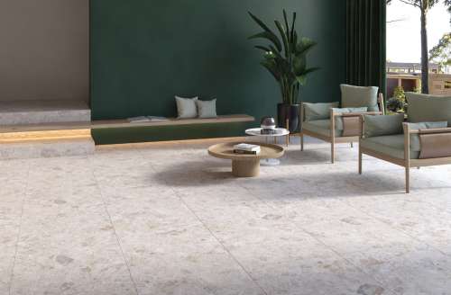 NINETY PLUS | ROBUSTA